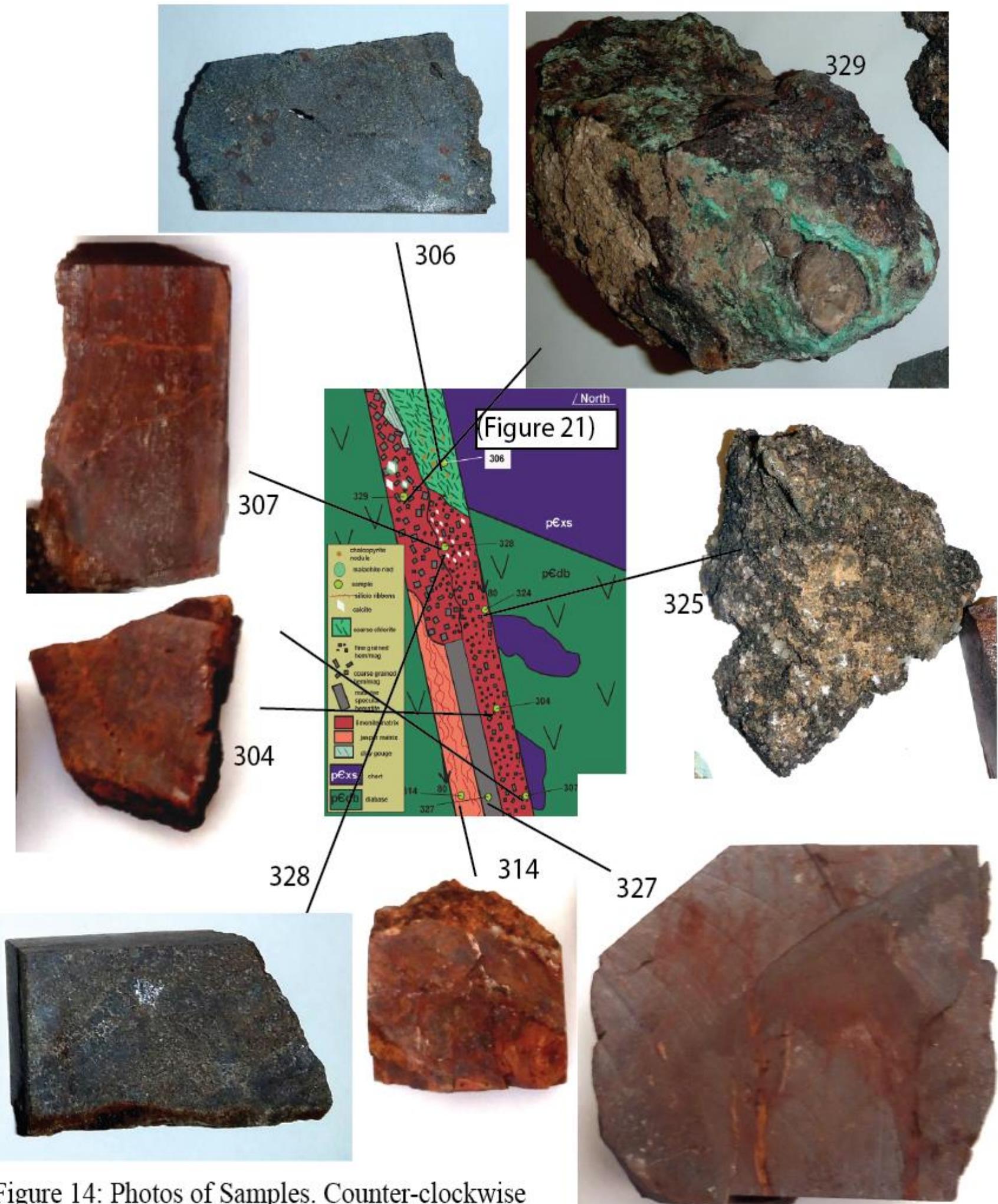 Figure 14 - Structural Evolution of the Virgin Spring Phase