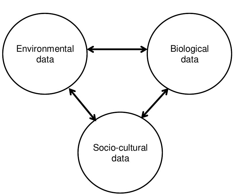 Segmented bio-cultural model
