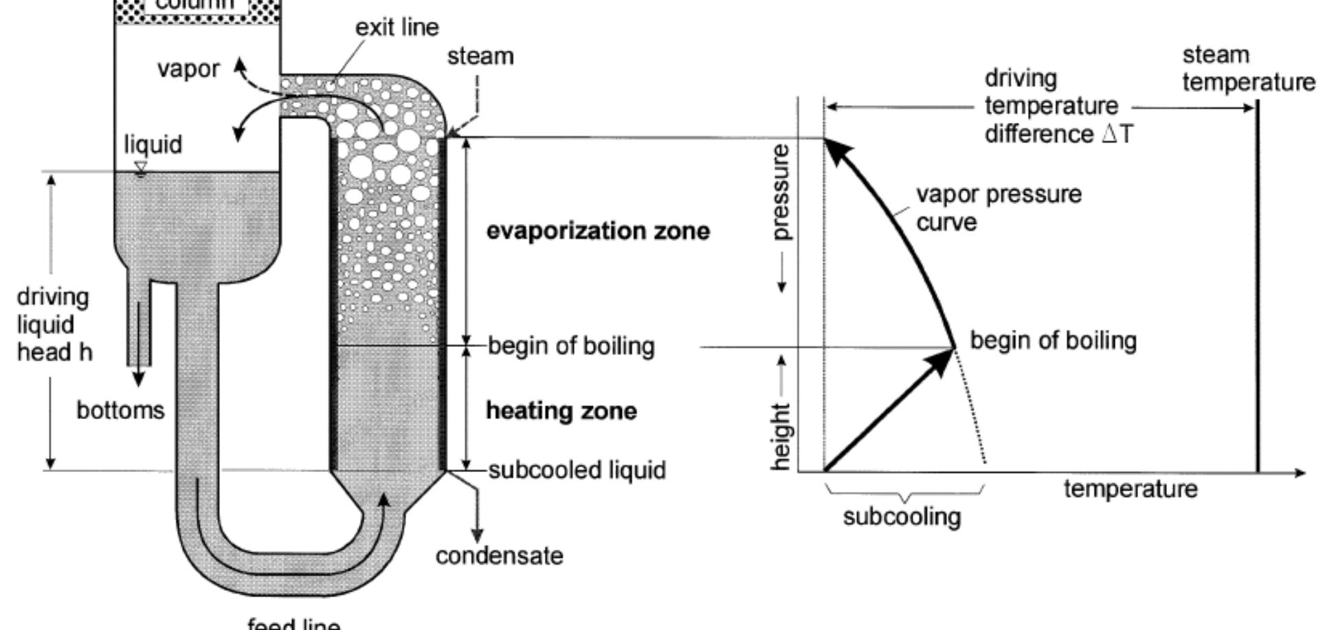 Schematic of a vertical thermosiphon reboiler with a single