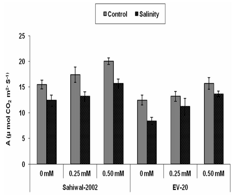 Effect of salicylic acid on co) assimilation rate (a) of two