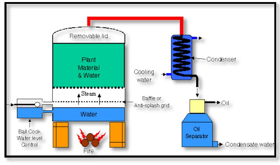 8. schematic of a water and steam distillation setup.