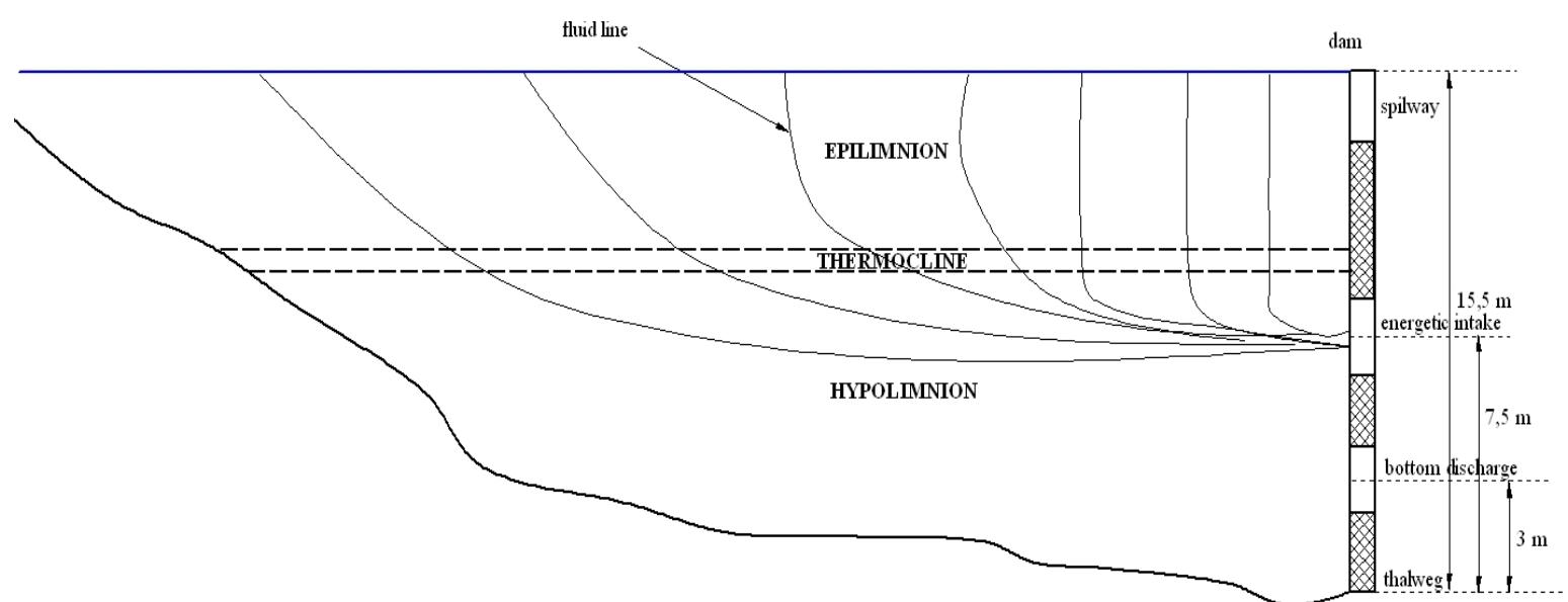 schematic representation of lake stratification applied to