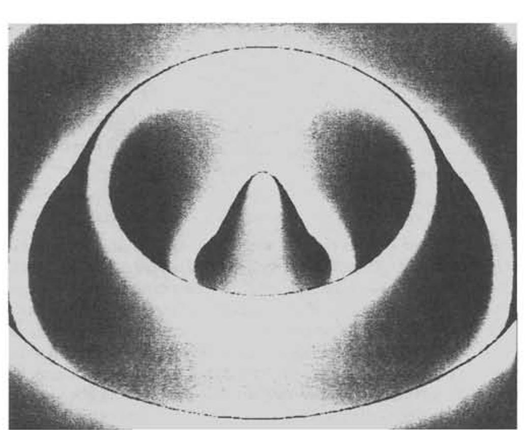 Two shaded images of smoothly curved surfaces used in ex-