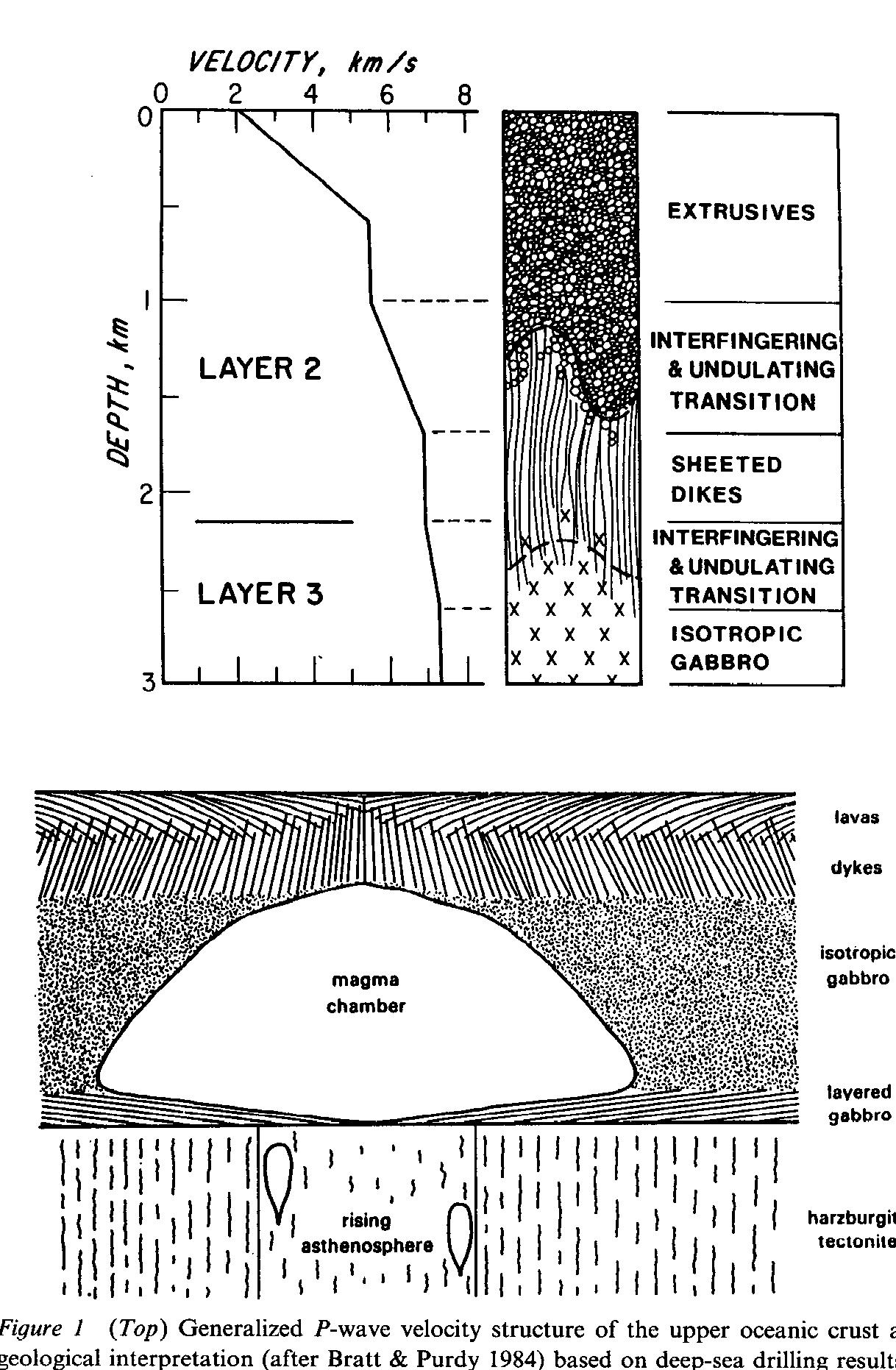 Figure 1 - The Structure of Mid-Ocean Ridges