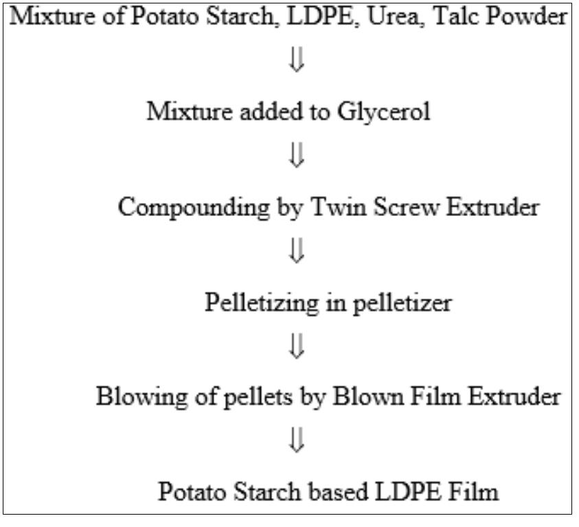 Flowchart for film preparation