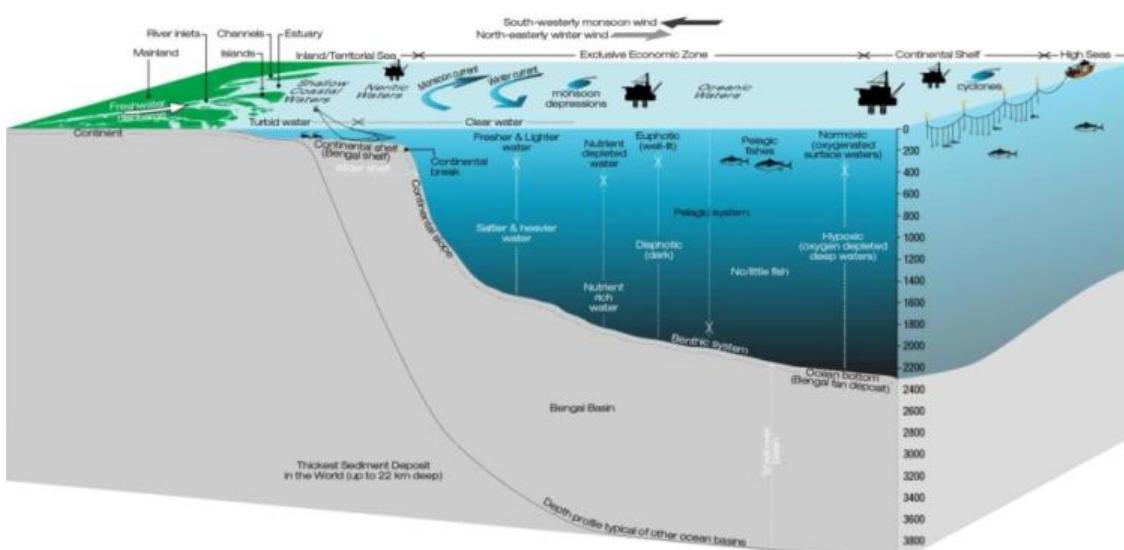 Schematic diagram showing salient characteristics of the