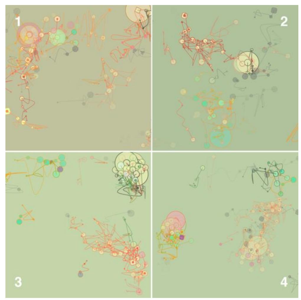 Figure 8 - Species in Morphogenesis: Introducing