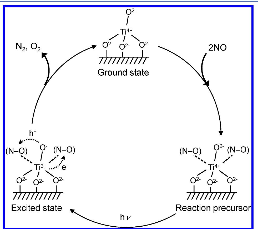 Proposed reaction mechanism of the photocatalytic no