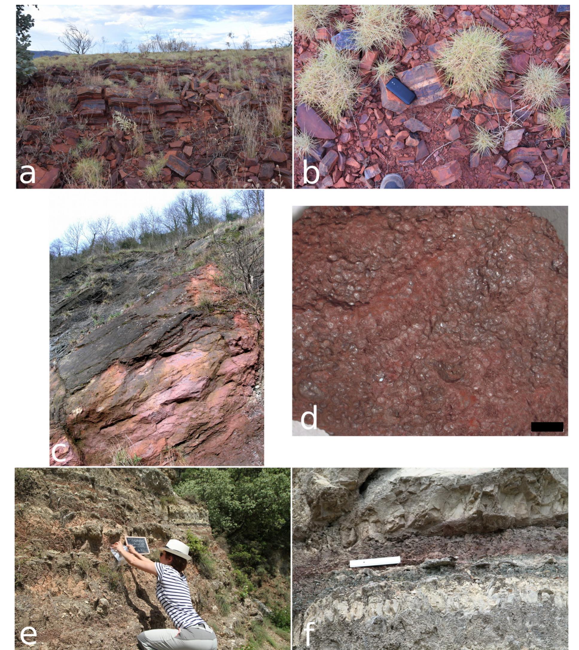 (PDF) A geological collection and methodology for tracing the ...