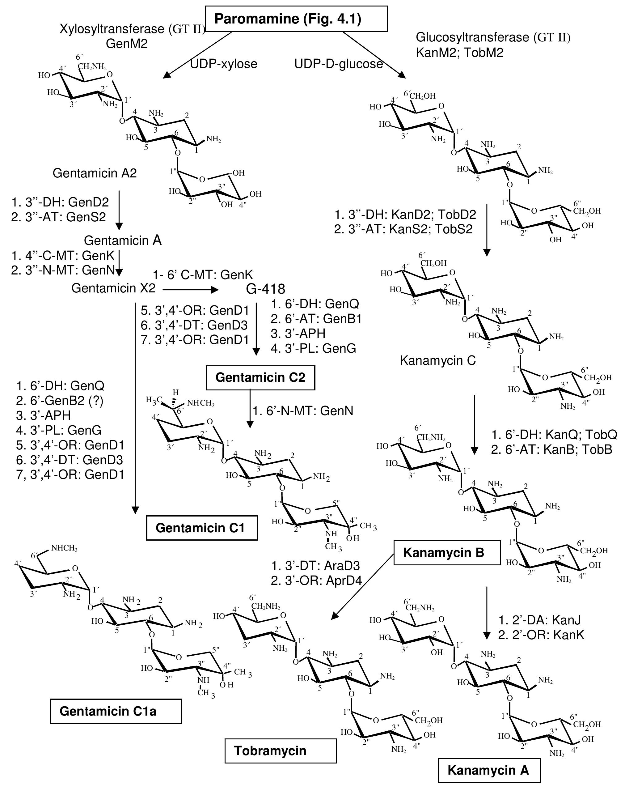 3 proposal of a general pathway design for the biosynthesis
