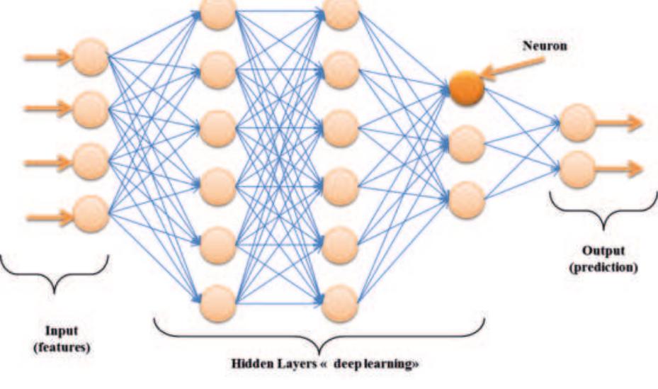 Structure of a deep neural network
