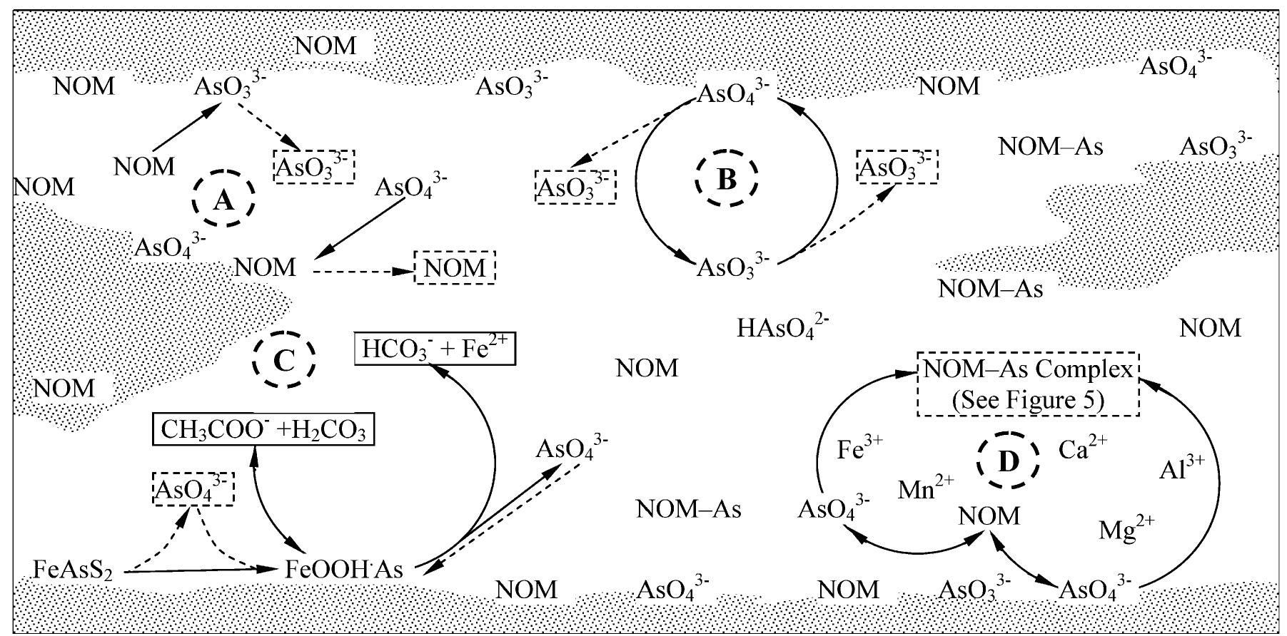 Model for the mechanisms of the effects of nom on arsenic