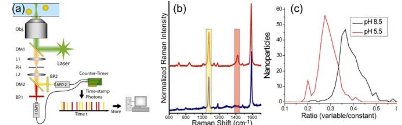 (a) schematic illustration of the sers correlation technique