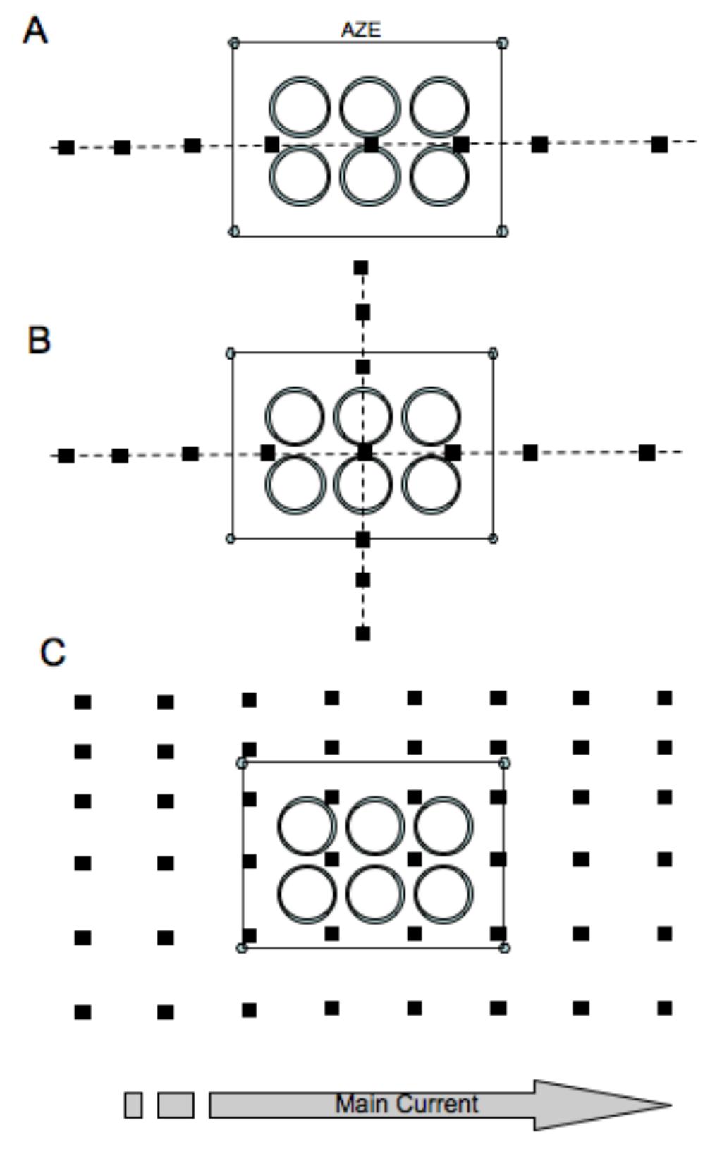 Examples of monitoring programs based on transects across