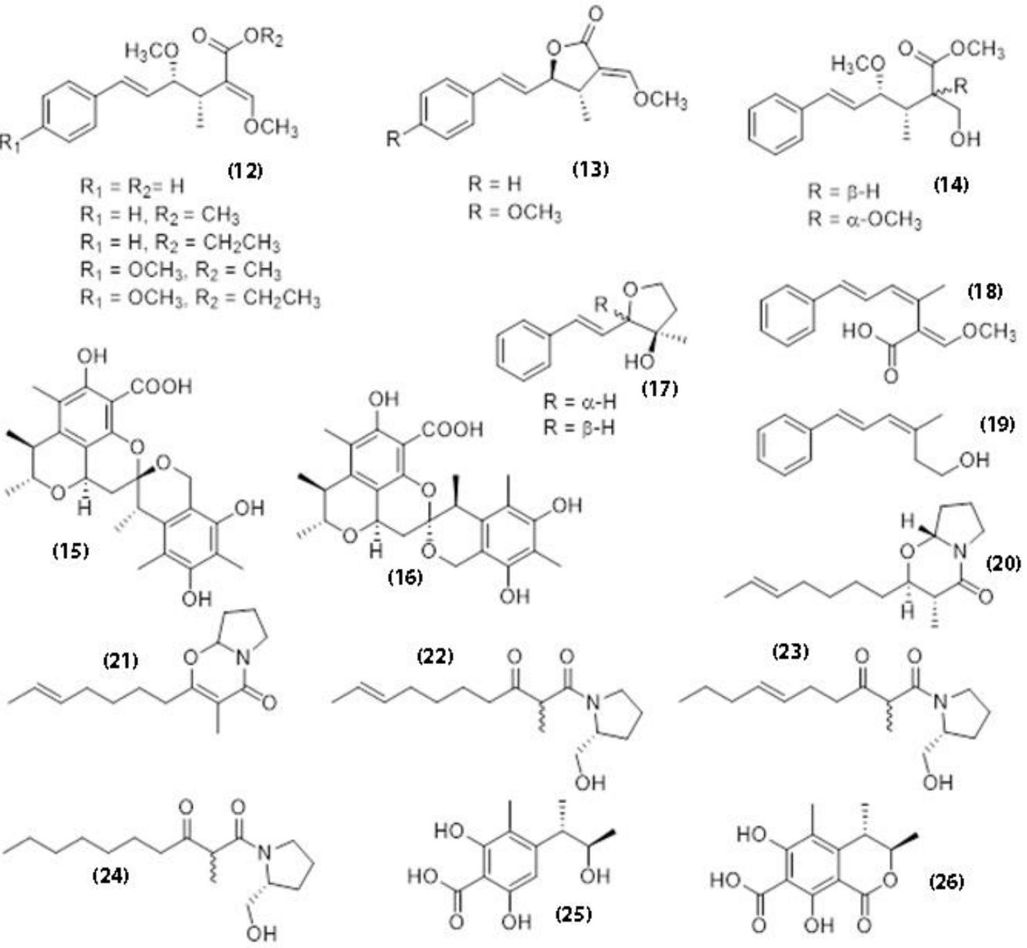 Chemical structures of compounds identified from xerula sp.
