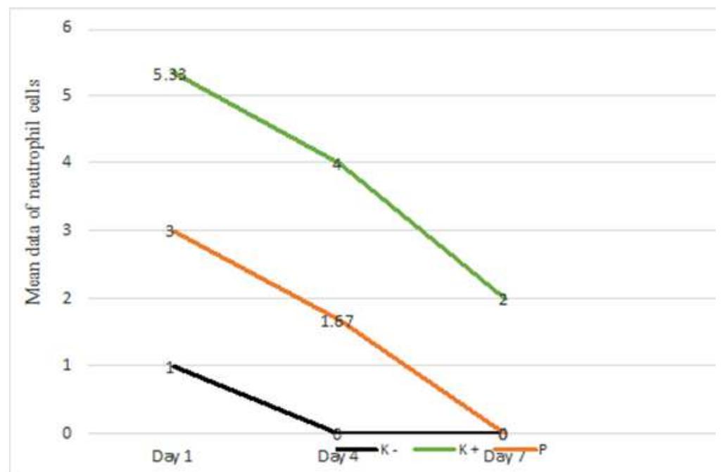 The diagram of the average number o neutrophil cells in