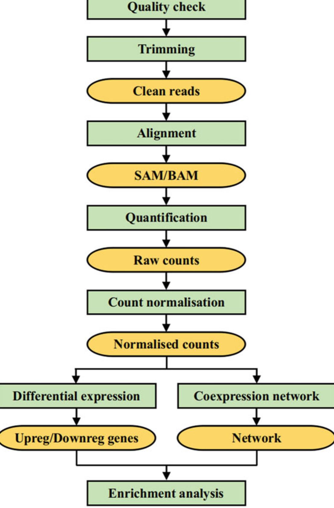 Flowchart of rna-seq data analysis pipeline. the boxes are