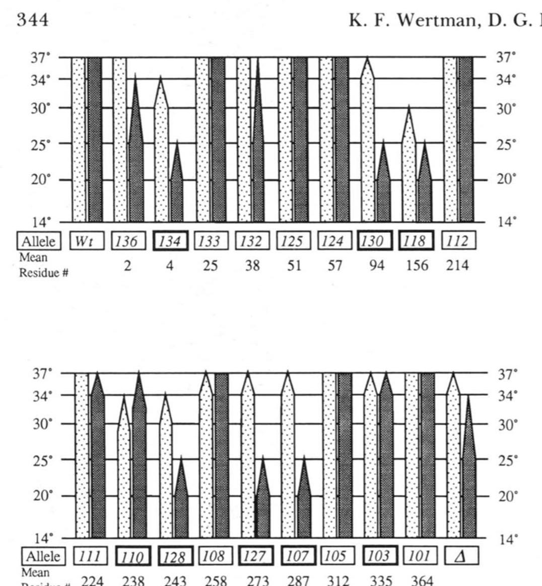 —growth of actl::his3/act1 heterozygous diploid strains. the