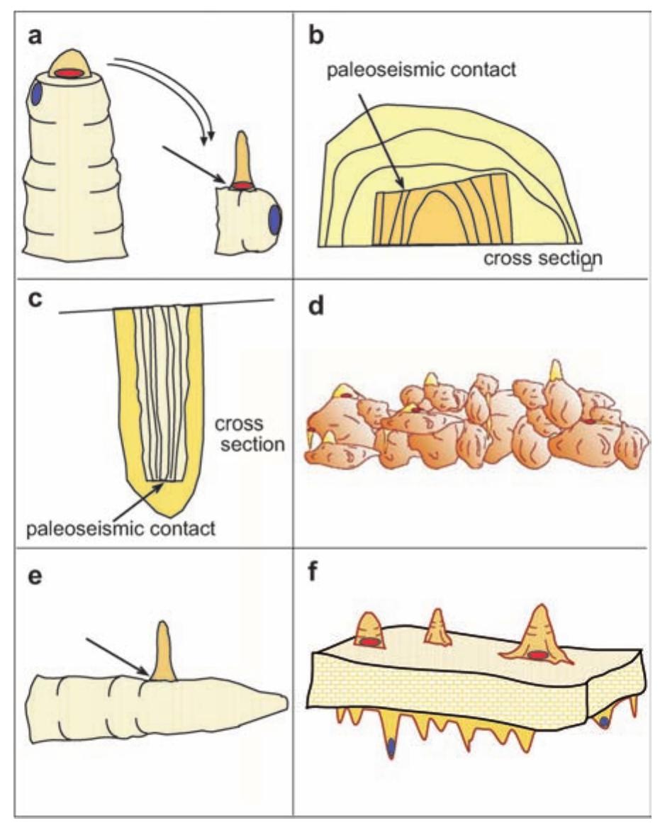 Schematic diagram depicting speleoseismites found in the