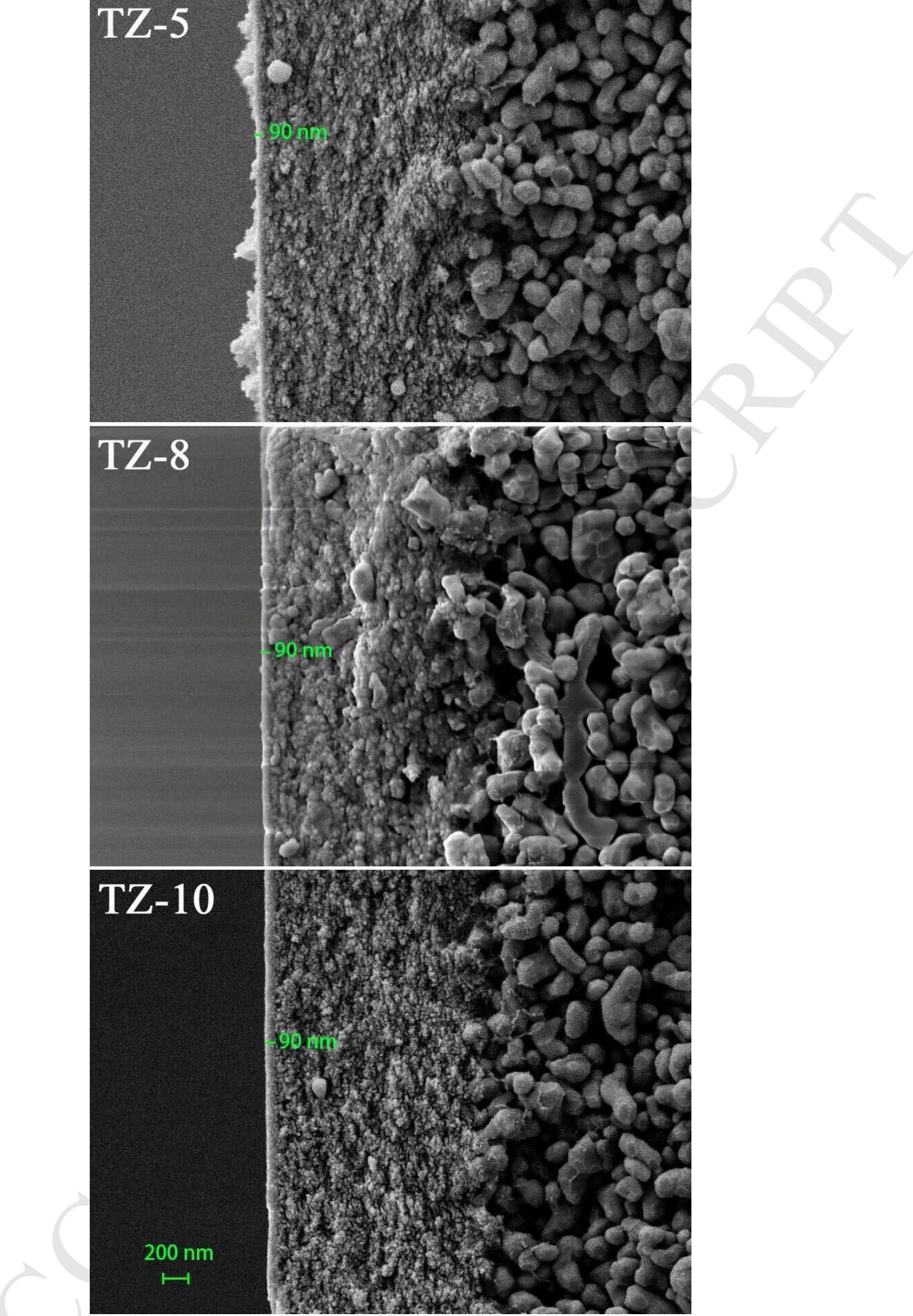 Sem images of the membrane cross-sections.