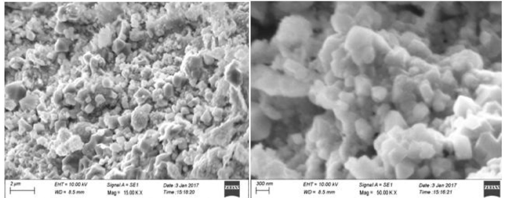Illustrates the sem images of mno, nanoparticle
