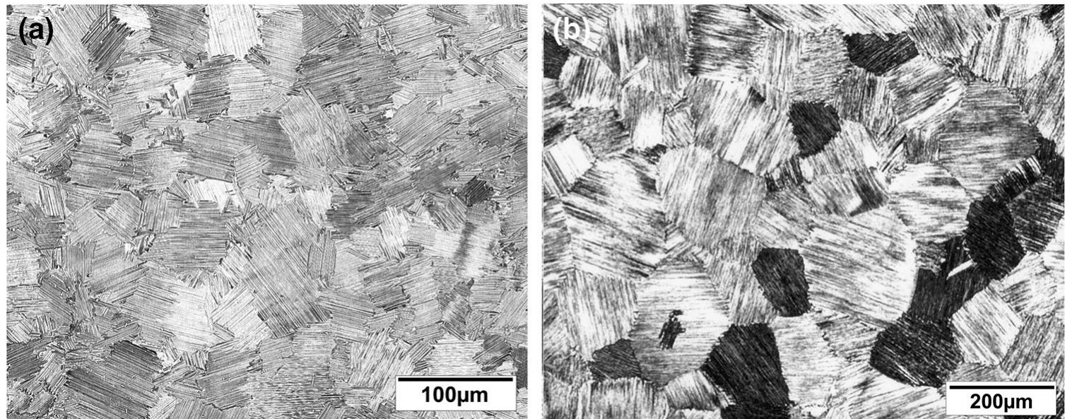 Fully lamellar bse microstructures of: (a) beta gammalloy