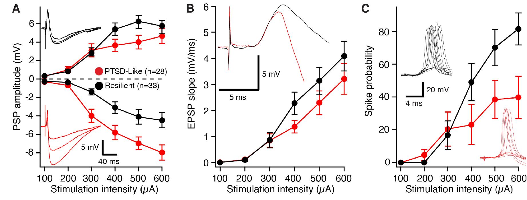 2. synaptic responsiveness of bnst-al neurons to st stimuli