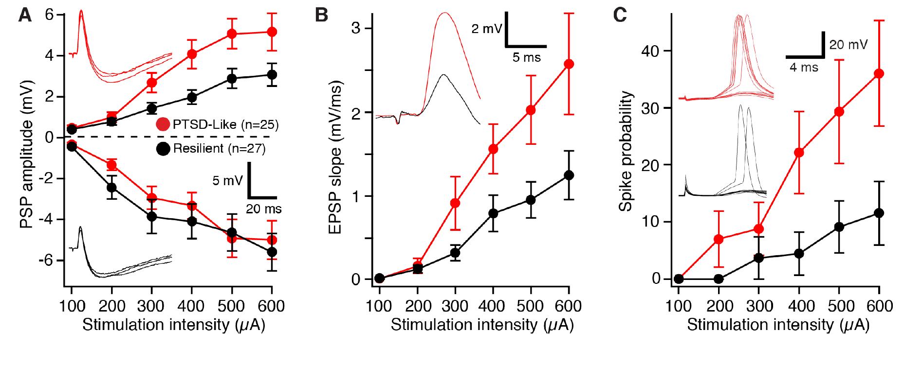 3. synaptic responsiveness of bnst-am neurons to st stimuli