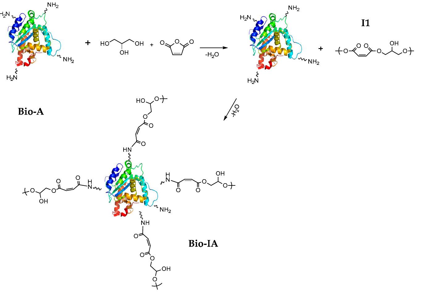 From the comparison of the h-nmr spectra of three bio-i[a