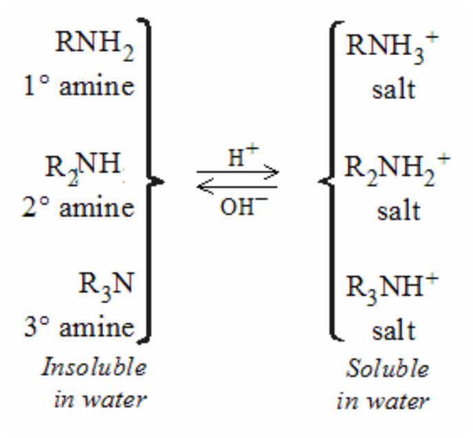 Structure and stereochemistry of amines seen ss me see ee