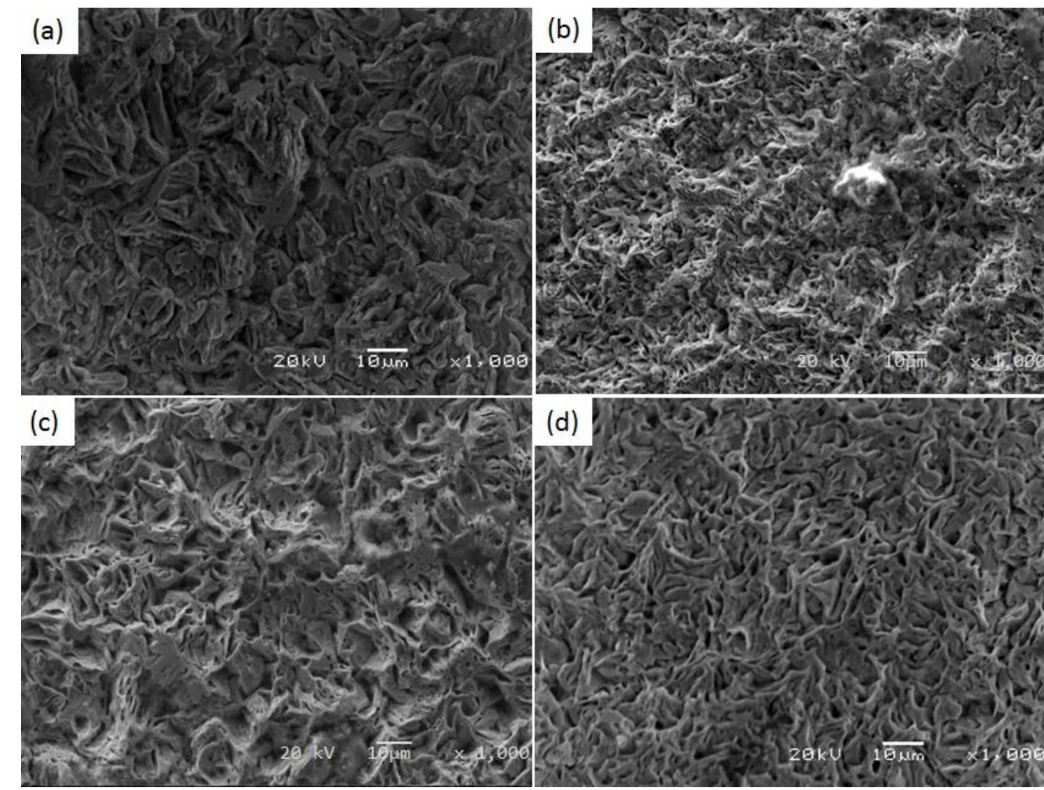 3.5 surface morphology sized grains [2]. sem images of zinc