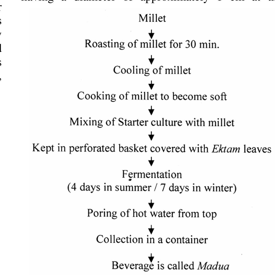 Flow chart 3-different stages of madua preparation