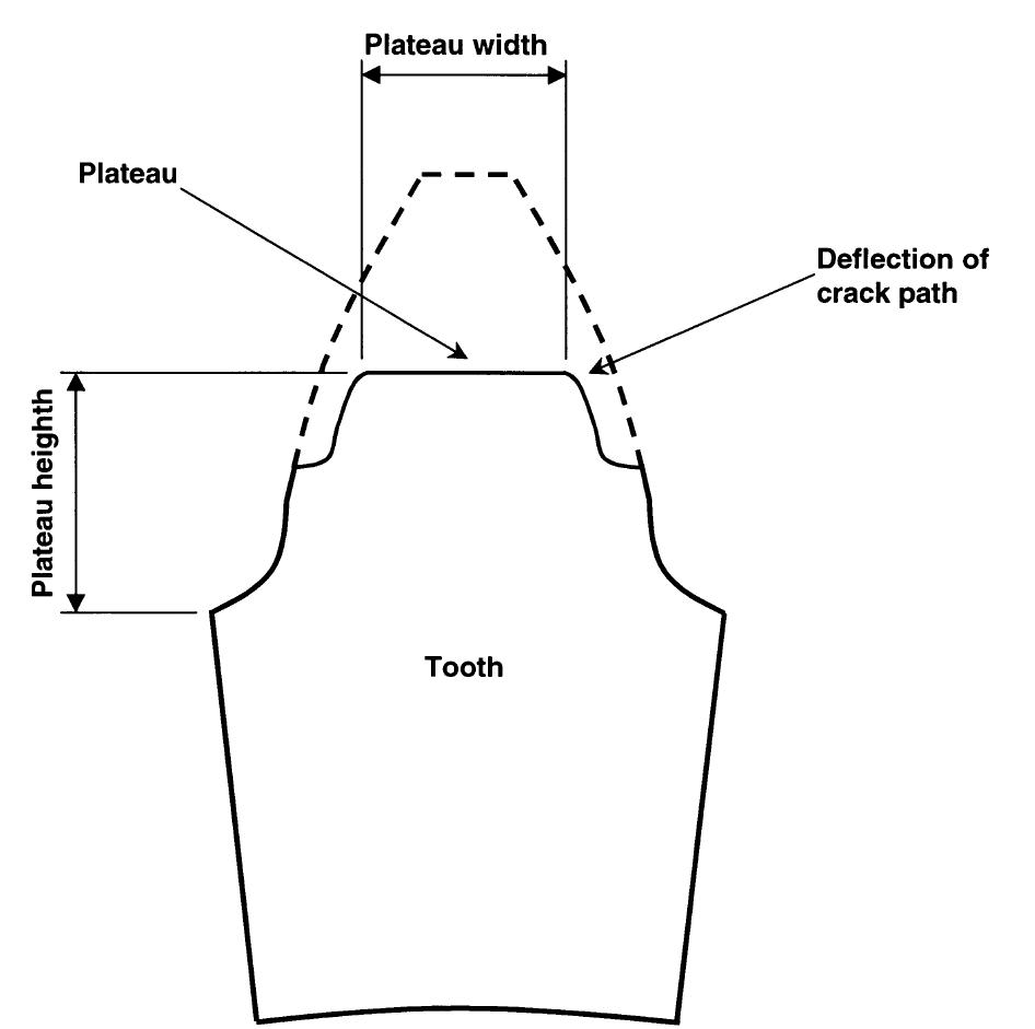 A schematic cross-section of a tiff.
