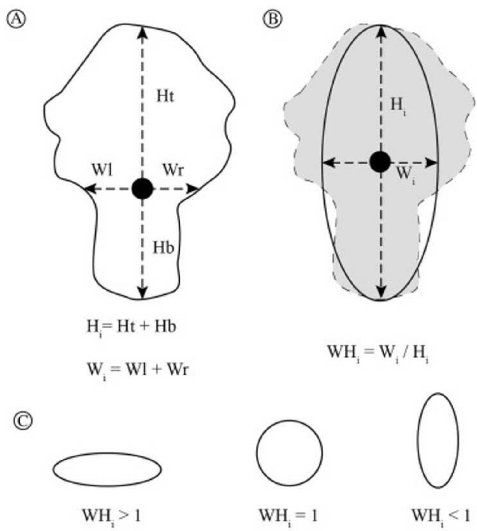 Figure 7 - Speleogenesis, geometry, and topology of caves: A