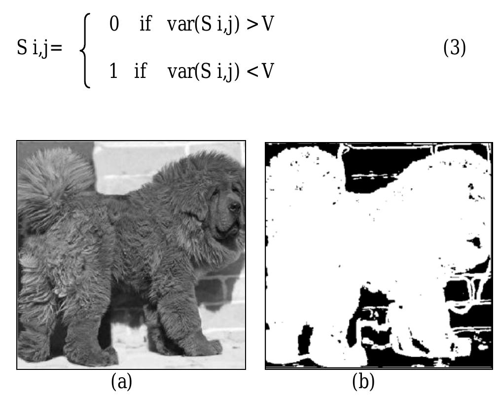 Variance map of image “dog “ of size (403x403) pixels; (a)