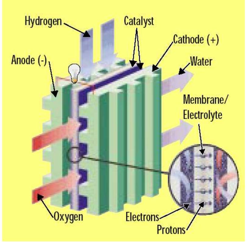 2: a schematic diagram of a hydrogen fuel cell’.