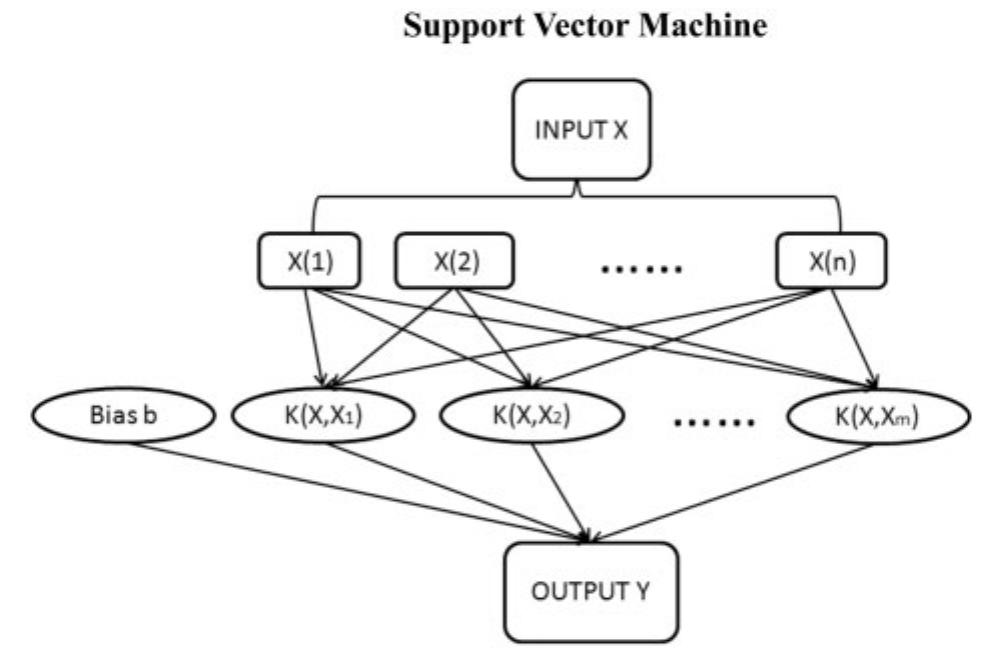 Schematic structure of an svm. reproduced from the open