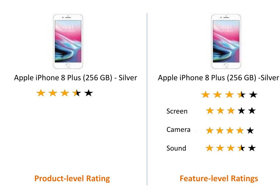 Product-level rating system versus feature-level rating