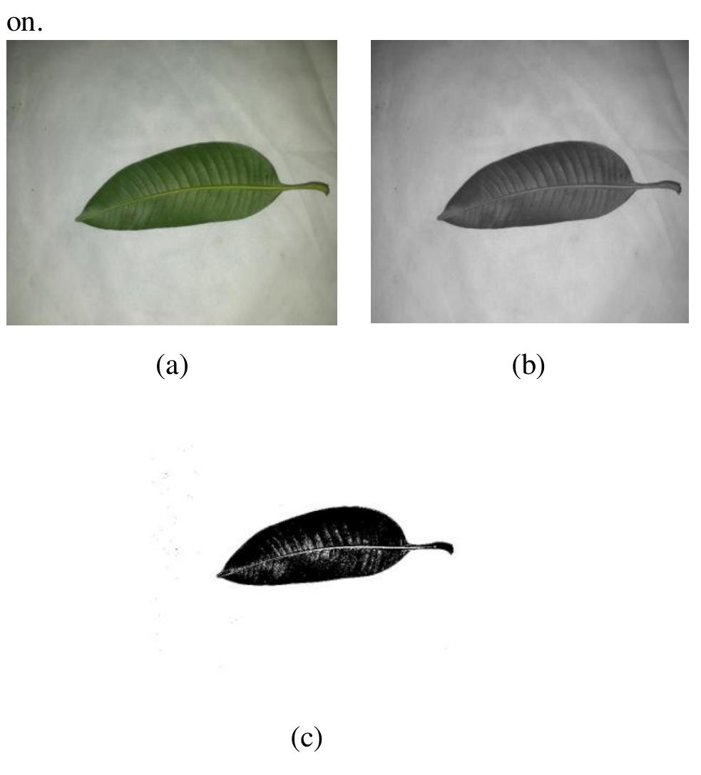 Figure 1 - MangoLDB : A Dataset of Mango Leaves RGB , Binary