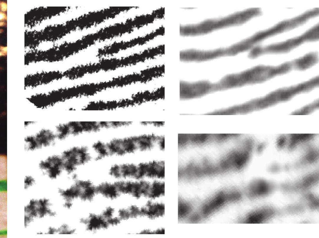 Figure 12 - Fingerprint on the Venus of Dolní Věstonice I