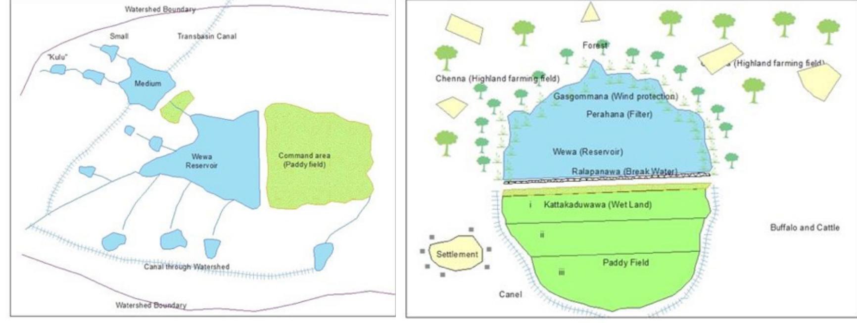 Schematic representation of the components of tank cascade
