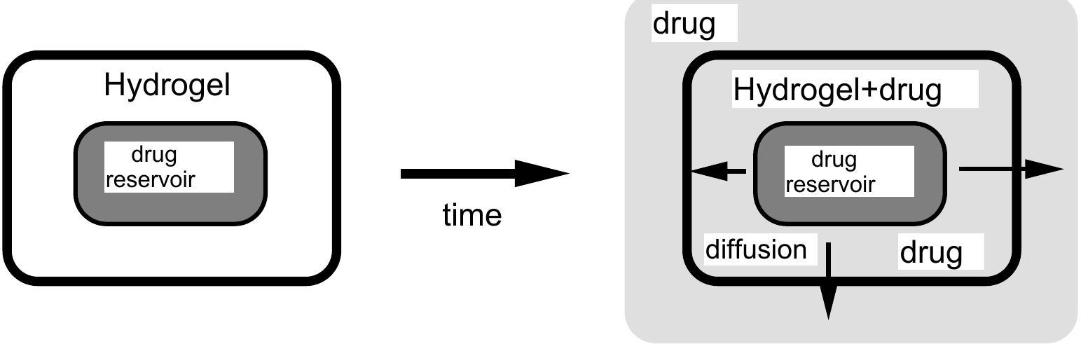 Drug release from a reservoir system by diffusion through