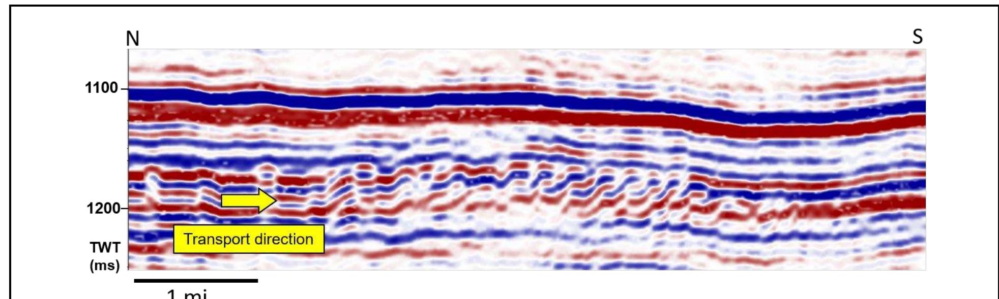 Seismic n-s cross section running across the mtd. the