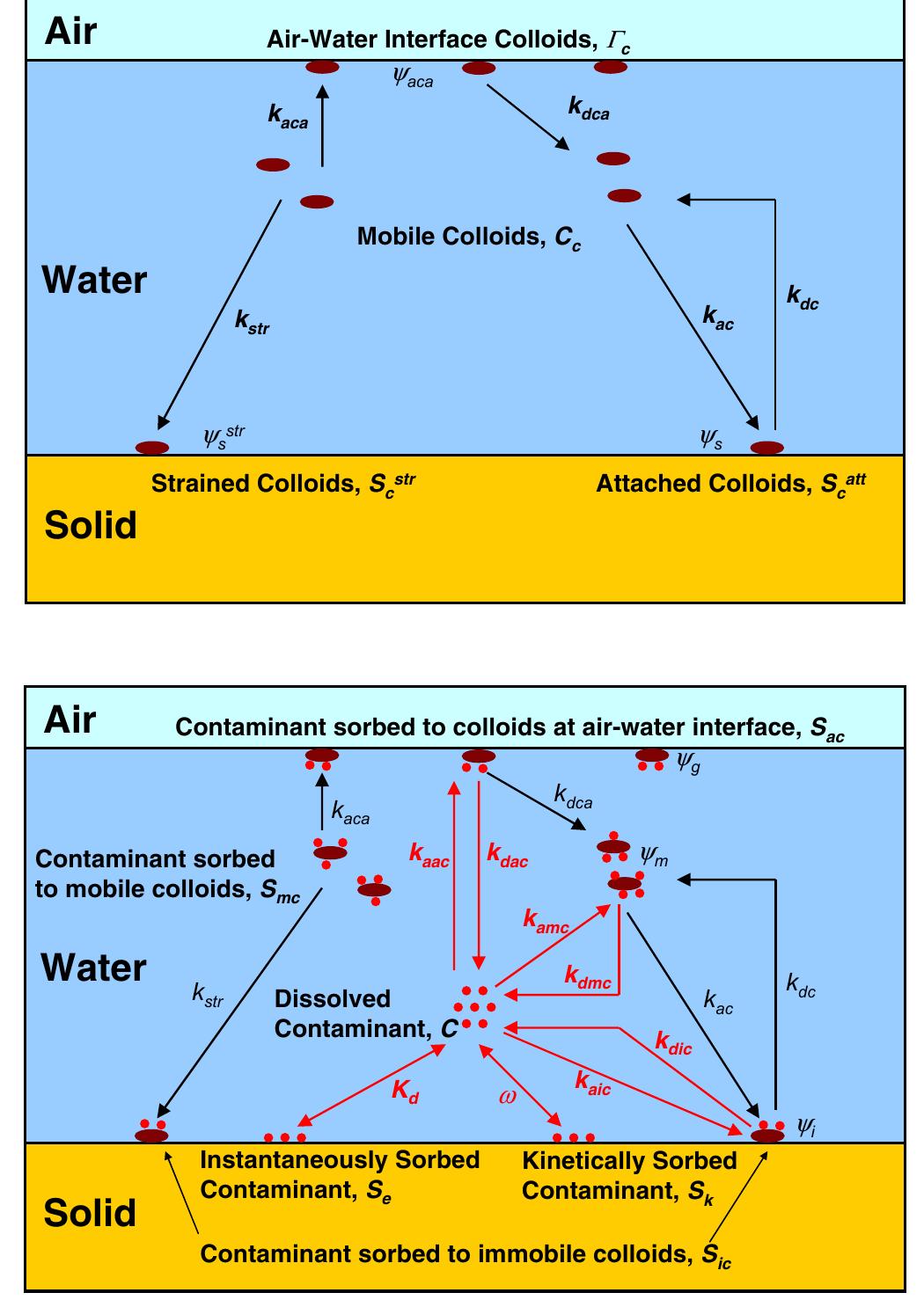 Figure 1 - from Colloid-facilitated solute transport in