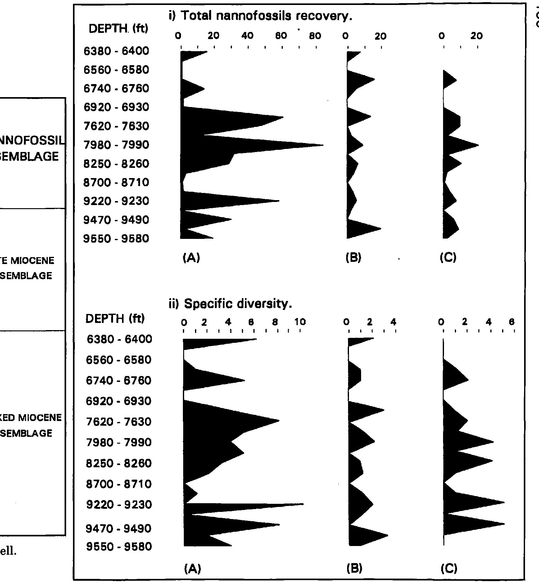 Figure 15 - Chronostratigraphy of Miocene turbiditic