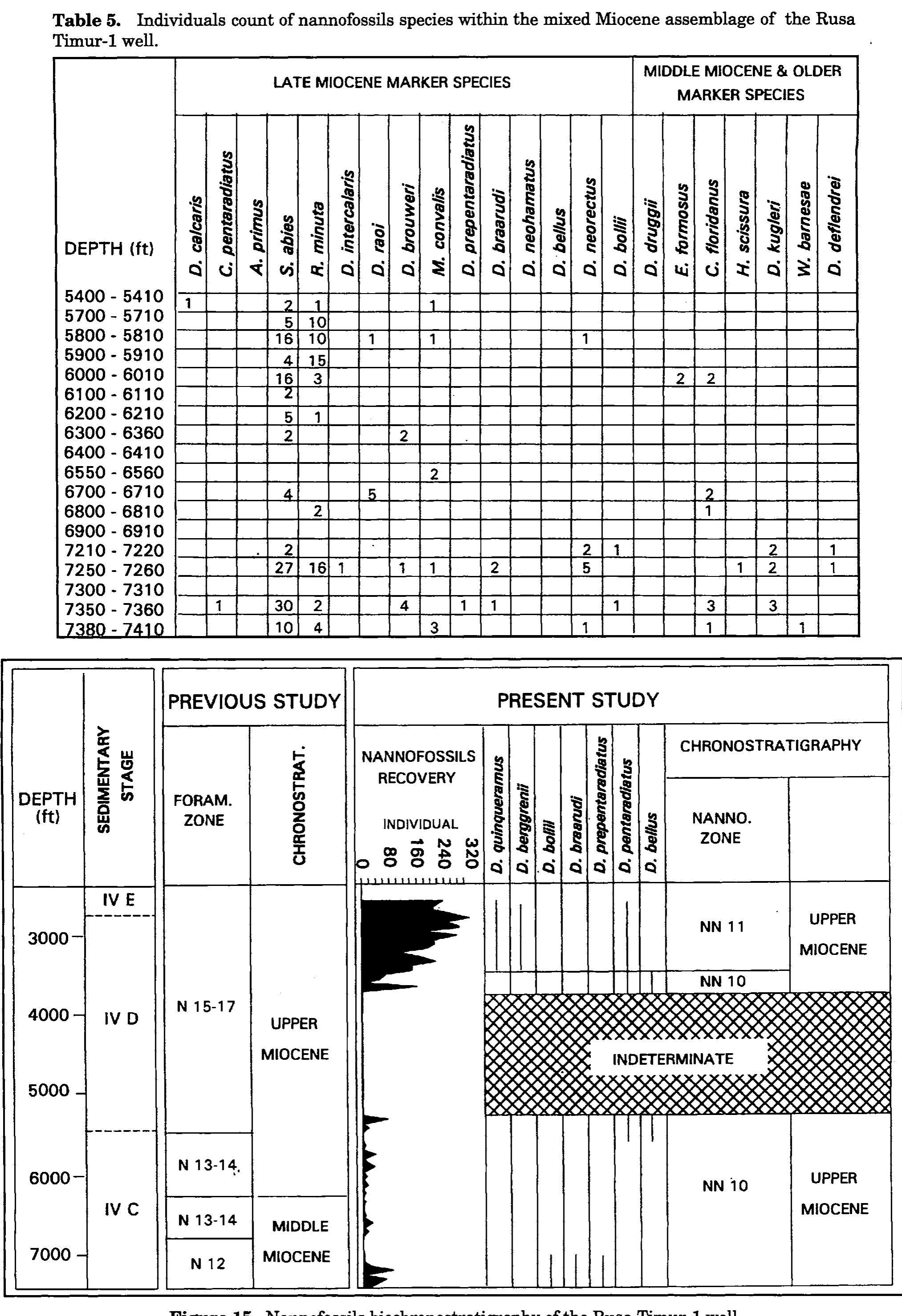 Figure 19 - Chronostratigraphy of Miocene turbiditic