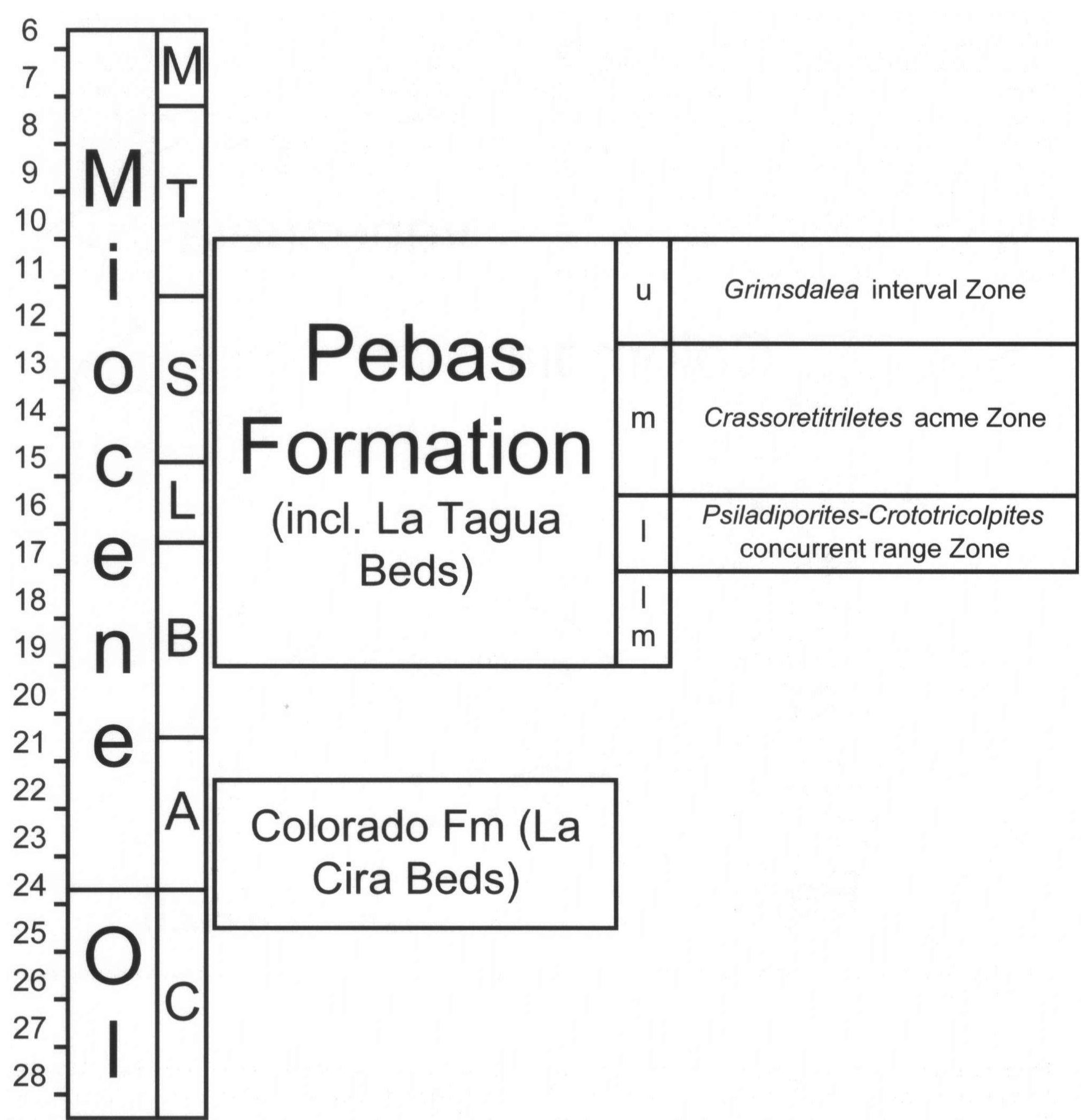 (PDF) Lake Pebas : a palaeoecological reconstruction of a Miocene ...