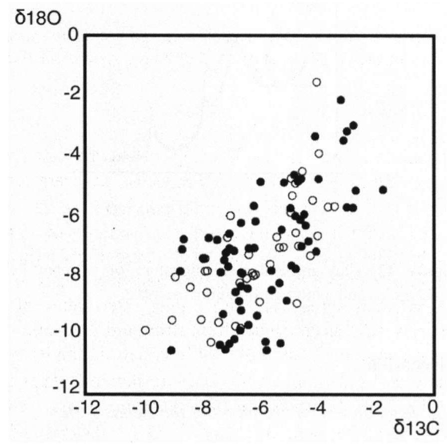 (PDF) Lake Pebas : a palaeoecological reconstruction of a Miocene ...