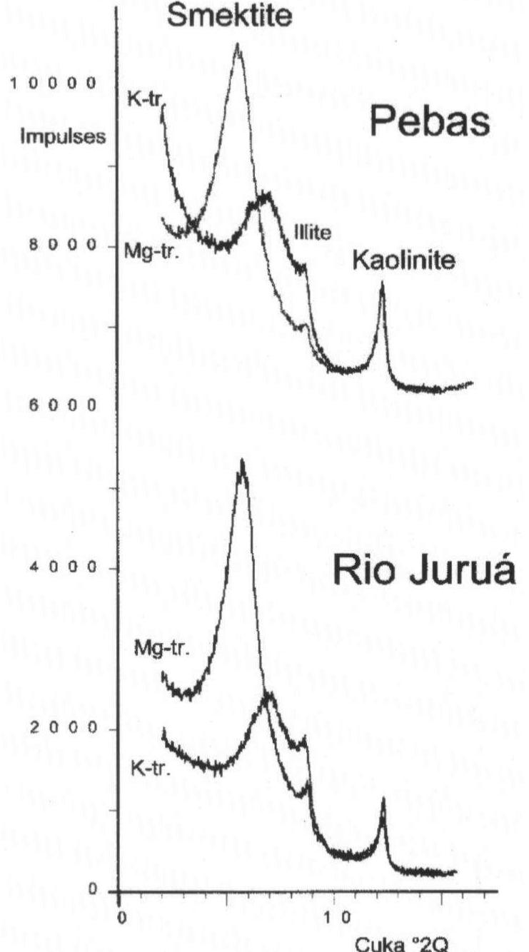 (PDF) Lake Pebas : a palaeoecological reconstruction of a Miocene ...