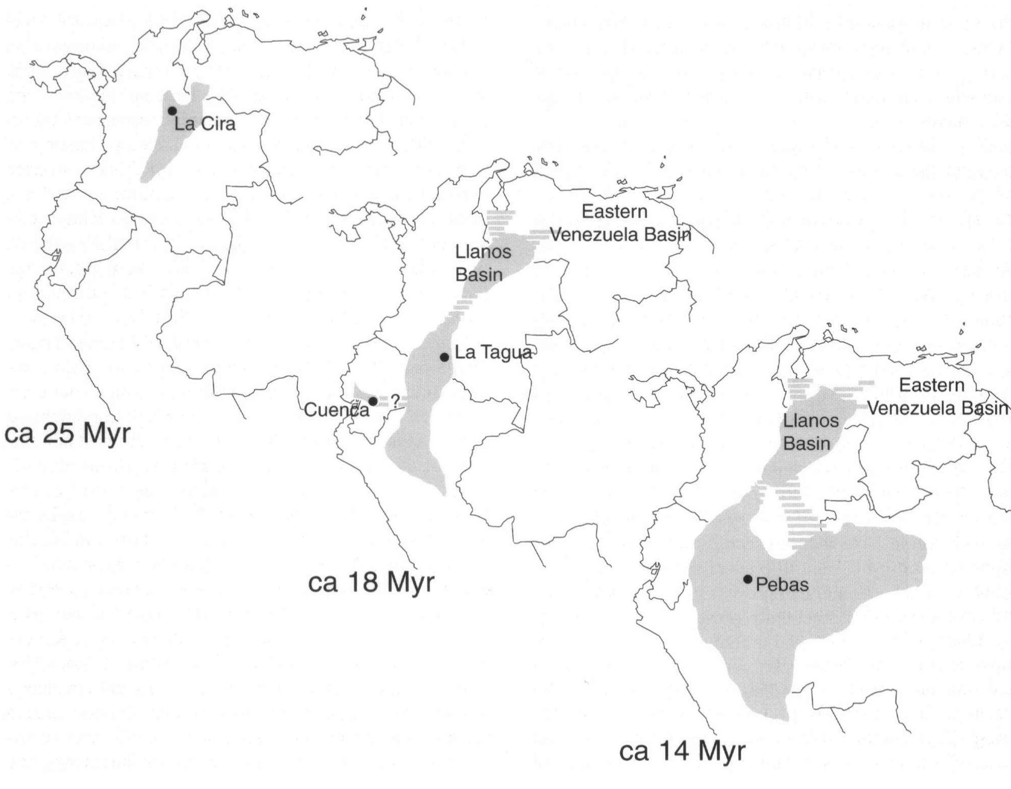 (PDF) Lake Pebas : a palaeoecological reconstruction of a Miocene ...